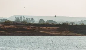 Rajkot International Airport (HSR) | Air India