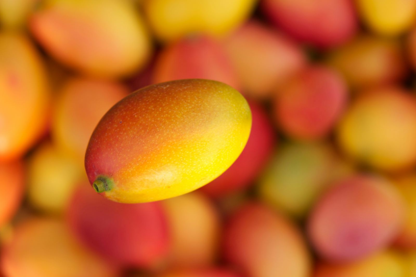 What’s the sweetest thing flying Air India this summer? It’s mangoes ...
